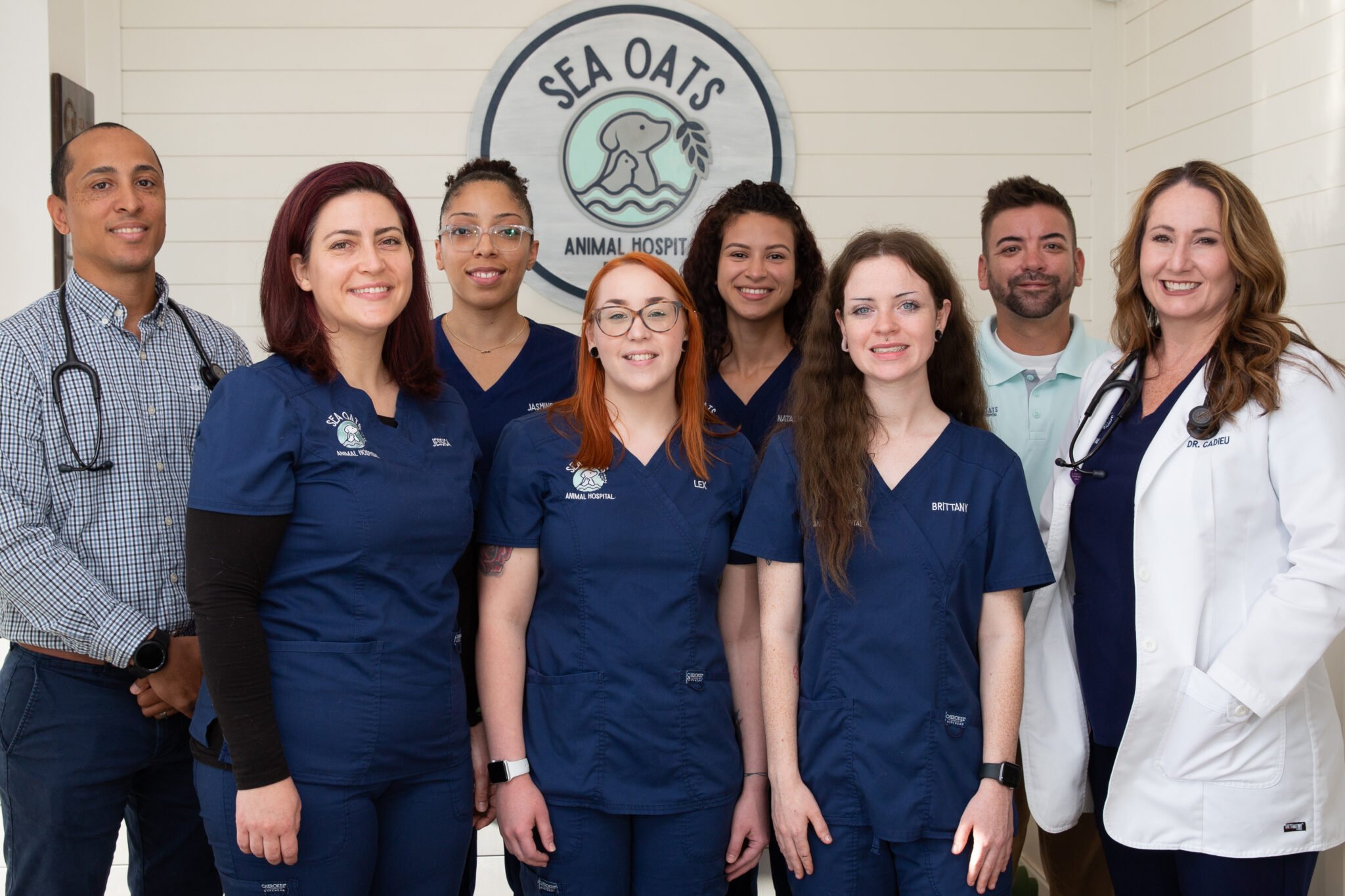 Veterinarian in Ponte Vedra Beach, FL | Vet | Contact Our Animal Hospital
